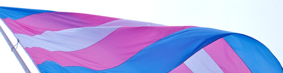 Watch the PSR Trans Day of Remembrance chapel service - CLGS